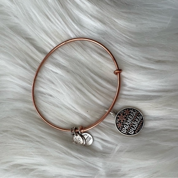 Alex and Ani | Jewelry | Alex And Ani Two Tone Rafaelian Rose Gold And Silver Warmest Wishes ...
